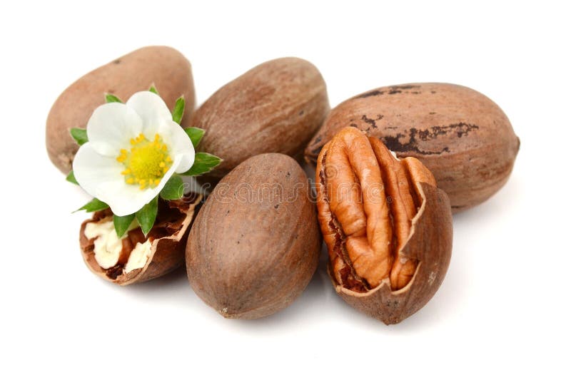 Stack of Pecan Nuts. Food, Nutshell. Stock Image - Image of fatty ...