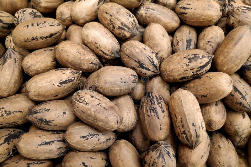Stack of Pecan Nuts on a Market Stall Stock Photo - Image of studio ...