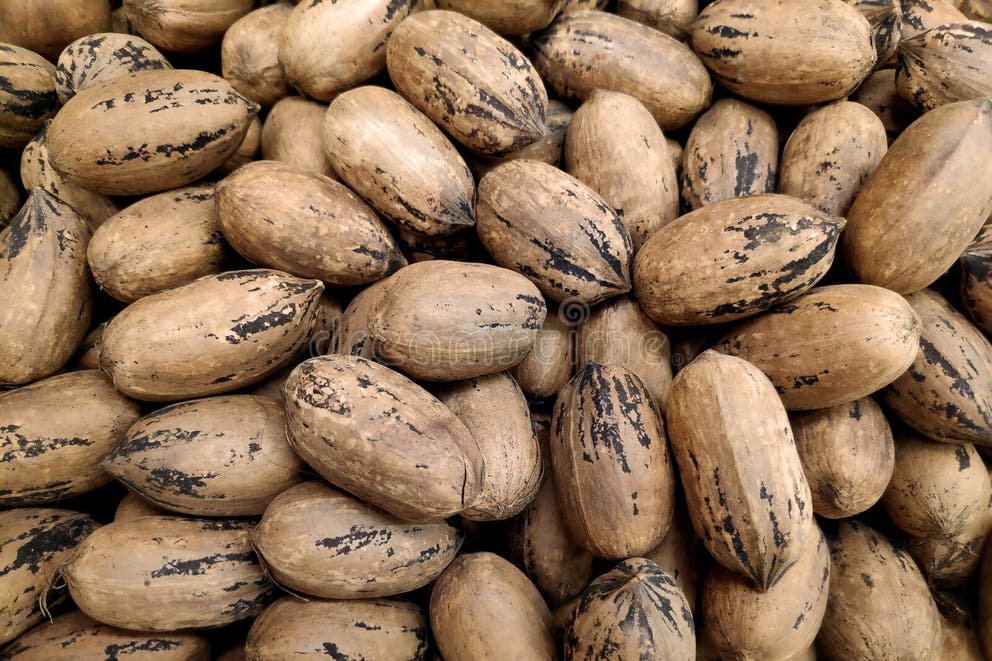 Stack of Pecan Nuts on a Market Stall Stock Photo - Image of studio ...