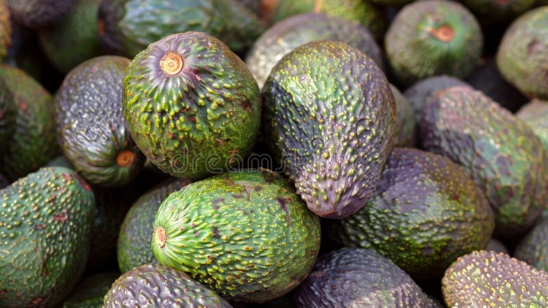 A Stack of Perfectly Ripe Avocados Ready To Be Turned into Guacamole ...