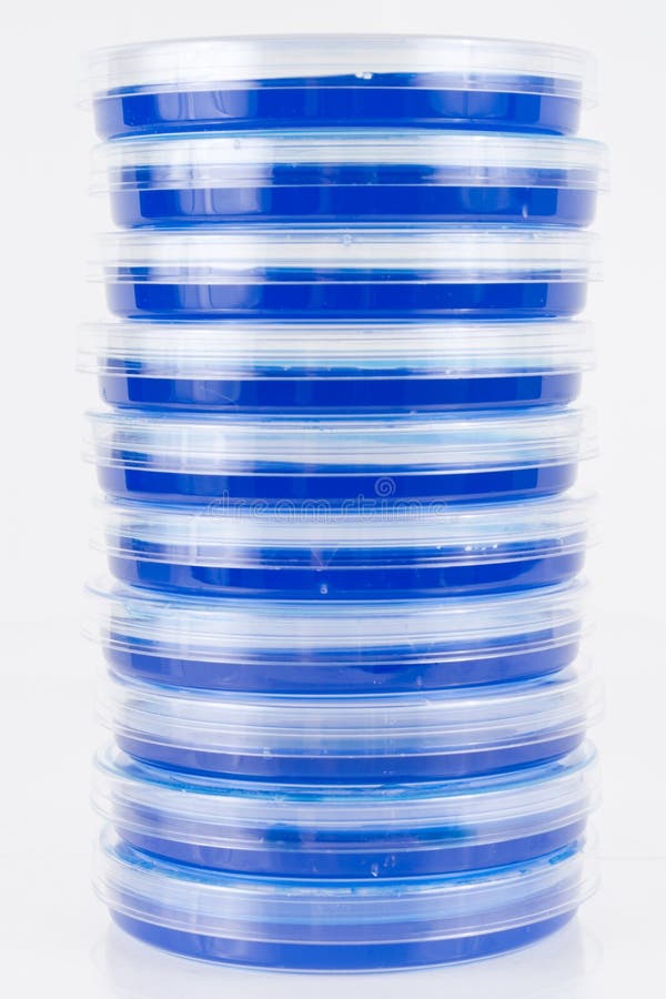 Stack of Petri Dishes stock photo. Image of container - 15875042