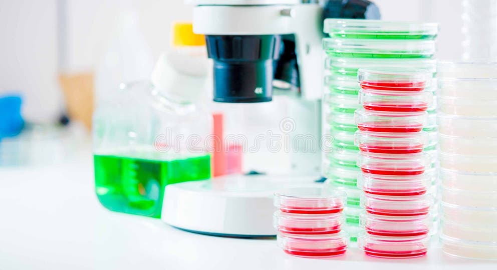 Stack of Petri Dishes in a Sanitary Analysis Laboratory Stock Image ...