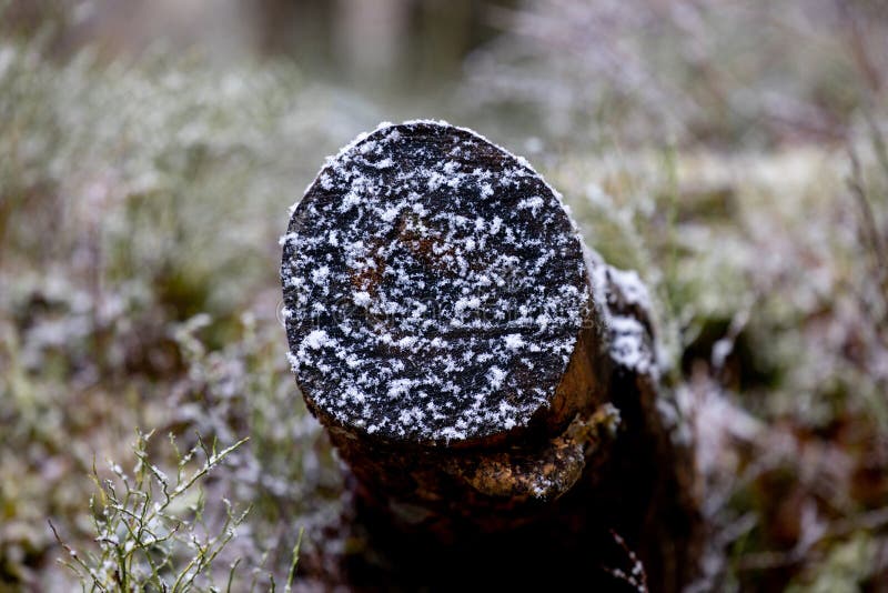 Stack or Pile Composed of Blocks, Pieces or Logs of Wood in Winter or ...