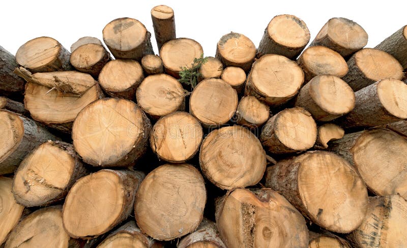 Stack of Pine Tree Trunks Isolated on White Background Stock Image ...