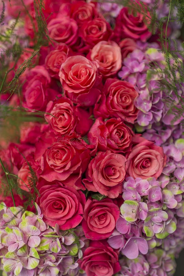Stack of Pink and Purple Roses with Green Stems and Flowers Stock Photo ...