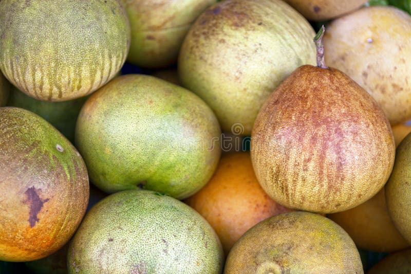 Stack Pomelos Market Stall Stock Photos - Free & Royalty-Free Stock ...
