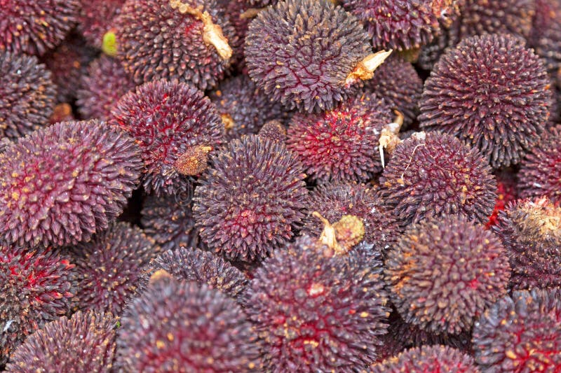 Stack of Pulasan on a Market Stall Stock Image - Image of pulasan ...