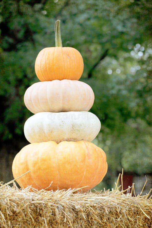 Stack of Pumpkins stock image. Image of photograph, pumpkin - 34393565