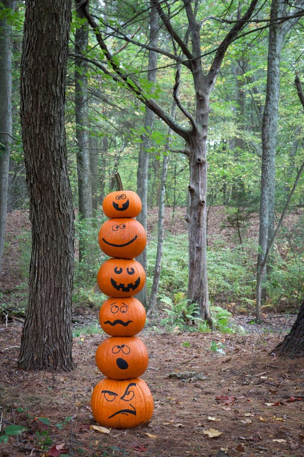 Stack of Pumpkins in the Woods Stock Photo - Image of outside, autumn ...