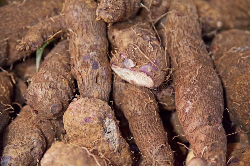Stack of Purple Yams on a Market Stall Stock Image - Image of root ...