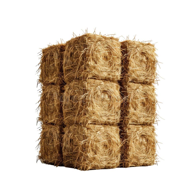 Stack of Rectangular or Square Hay Bales Alone on Transparent ...