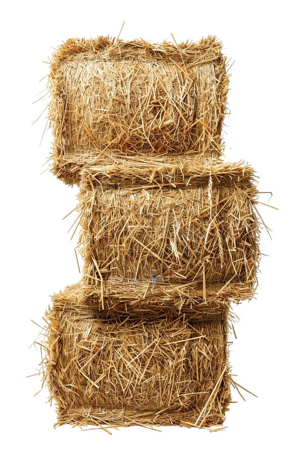 Stack of Rectangular or Square Hay Bales Alone on Transparent ...