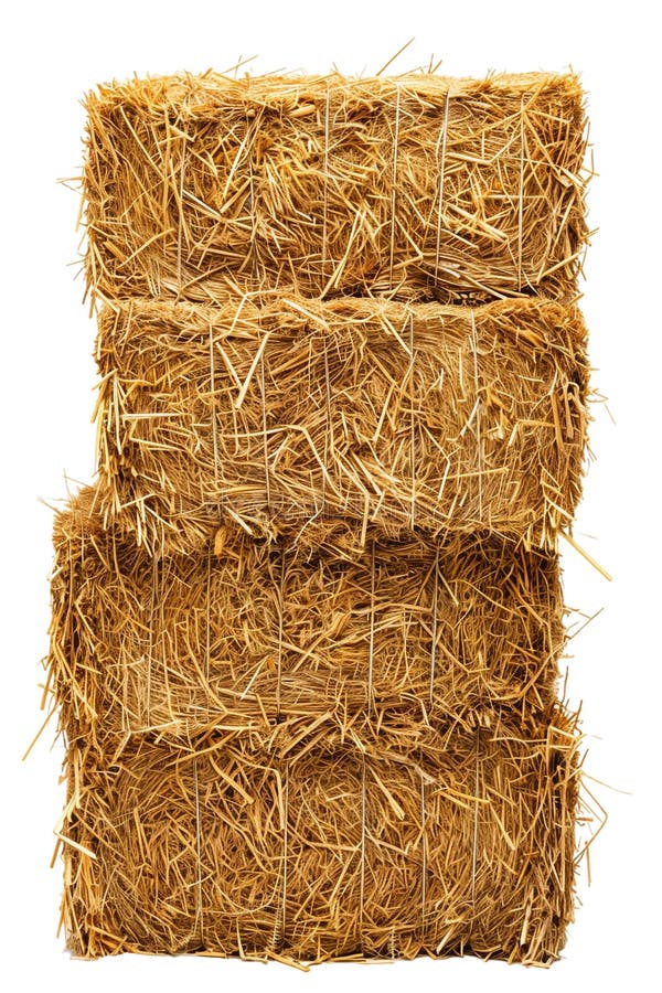 Stack of Rectangular or Square Hay Bales Alone on Transparent ...