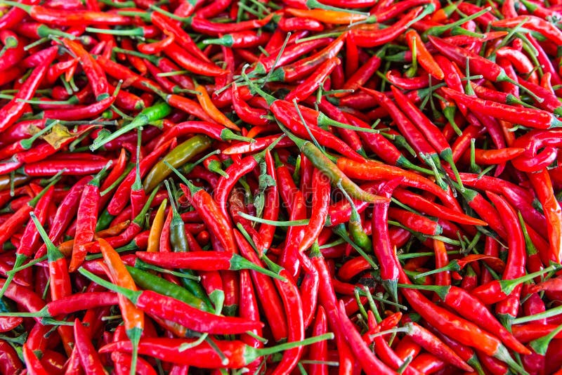 Stack of red chili peppers stock photo. Image of ripe - 88215006