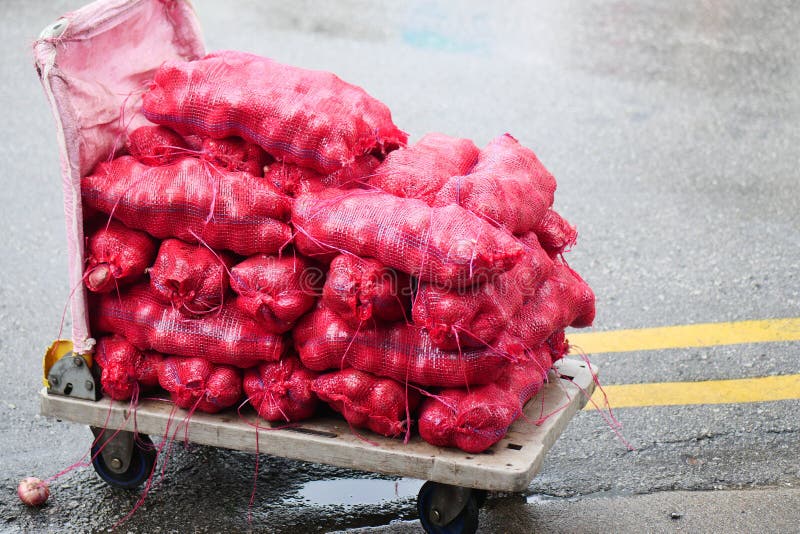 Stack of red onion in bags stock photo. Image of onion - 261722642