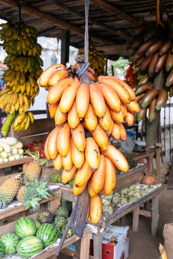 Stack of Bananas in the Open Air Fruit Market Stock Image - Image of ...