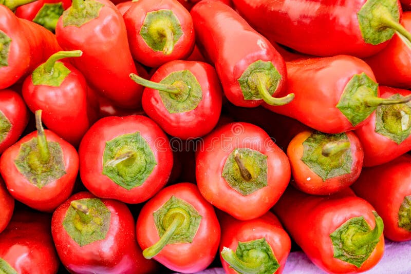 Stack of Red Poblano Peppers Stock Image - Image of closeup, nature ...
