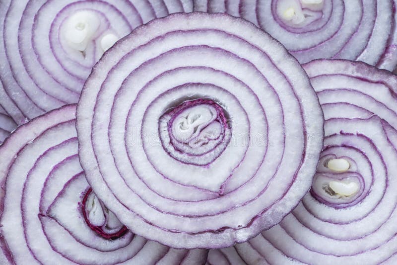 A Stack of Red or Purple Onion Slices with Concentric Circles Stock ...