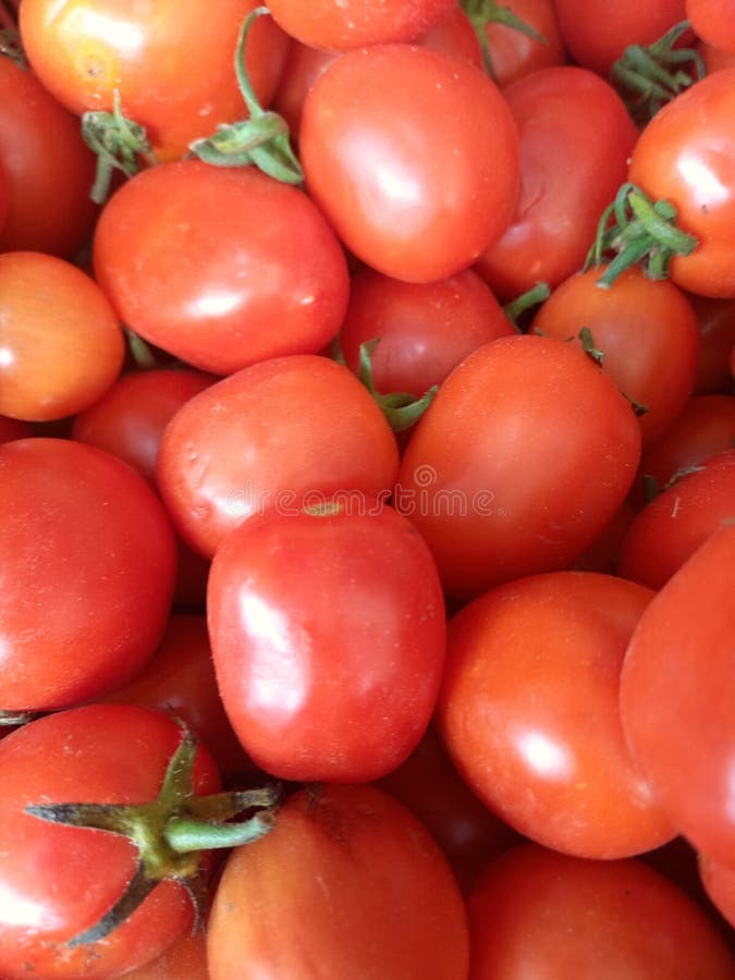 Stack of Red Tomatoes in Various Shape Stock Photo - Image of stack ...