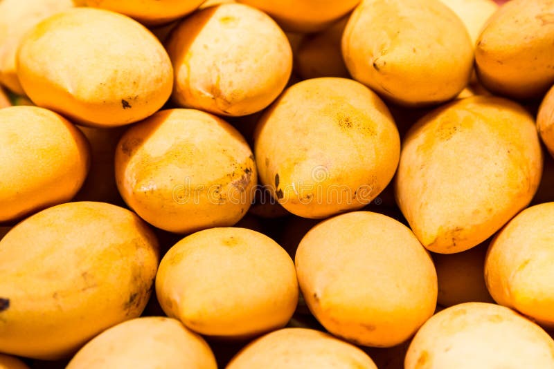 Stack of ripe yellow mango stock photo. Image of gala - 51592410
