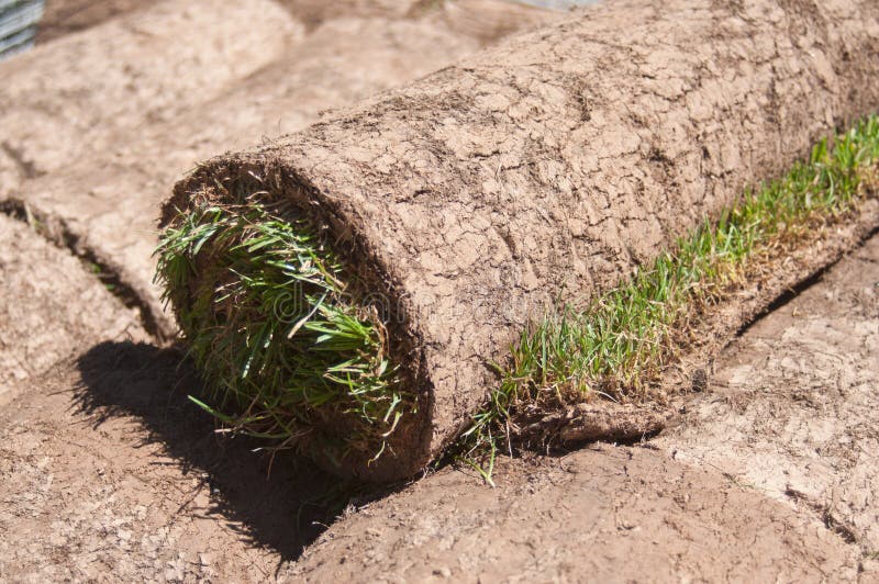 Stack of Rolled Grass Sod for Gardening Stock Image - Image of material ...