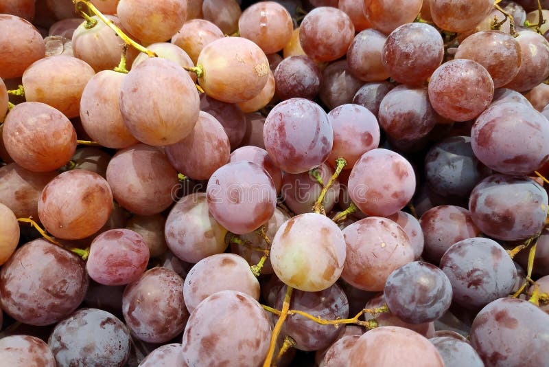 Stack of Rose Grapes on a Market Stall Stock Photo - Image of fruit ...