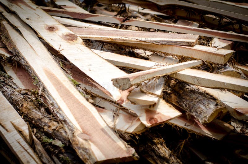 Stack of Rough Cut Wood for Building Stock Image - Image of natural ...