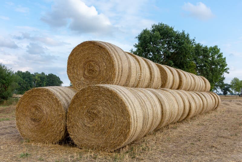 Stack of Round Bales of Straw on a Stubble Field Stock Image - Image of ...