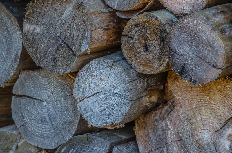 A stack of round logs stock image. Image of carving - 369254847