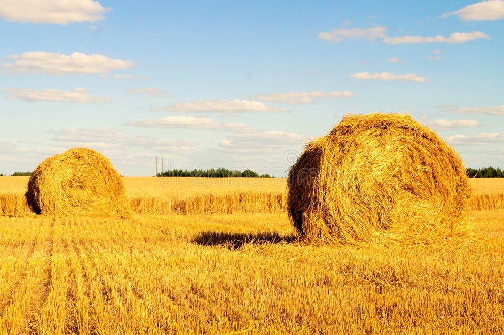 Stack of Round Shaped Straw on the Field Stock Photo - Image of soil ...