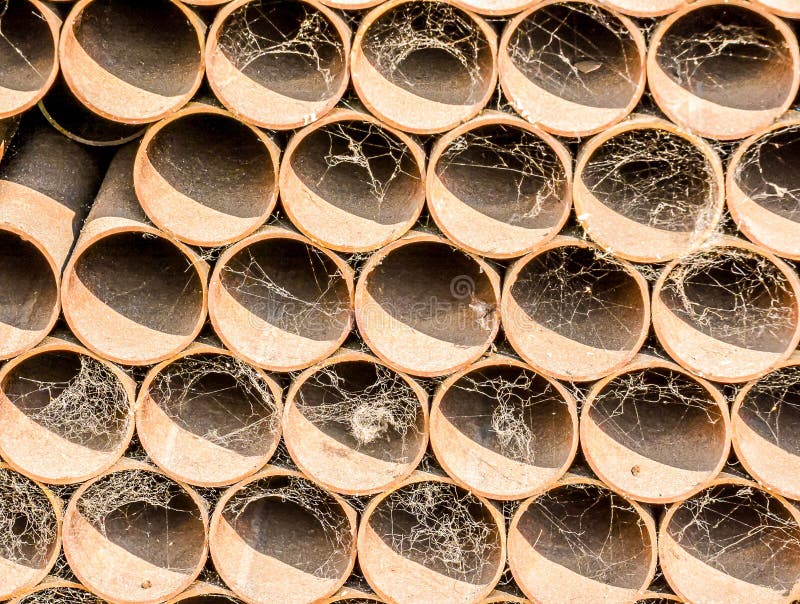 A Stack of Rusty Pipes with Spider Webs Covering Them Stock Image ...