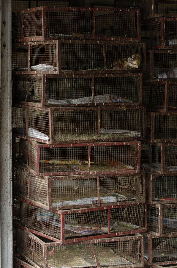 A Stack of Rusty, Wire-mesh Cages in a Warehouse Stock Image - Image of ...