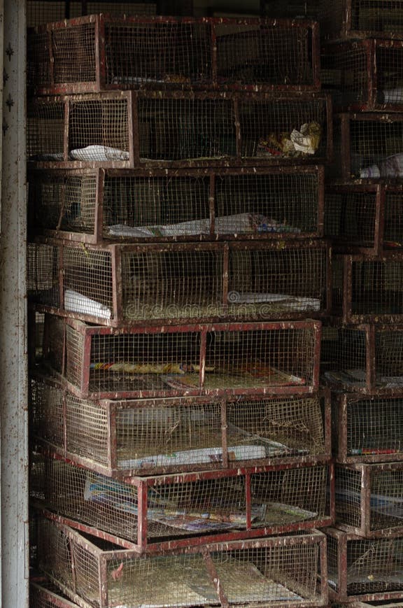 A Stack of Rusty, Wire-mesh Cages in a Warehouse Stock Image - Image of ...