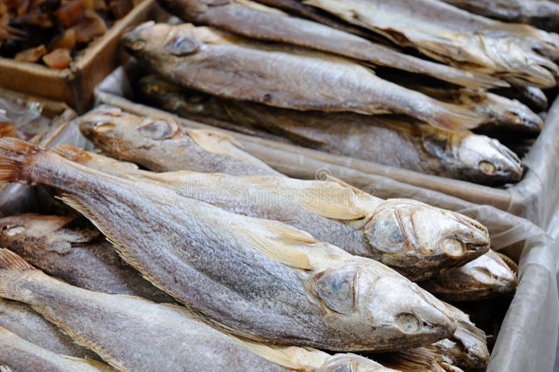 Stack of salted fish stock photo. Image of closeup, traditional - 6215356