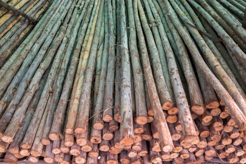 Stack of sawn timber stock image. Image of pine, plank - 72714203