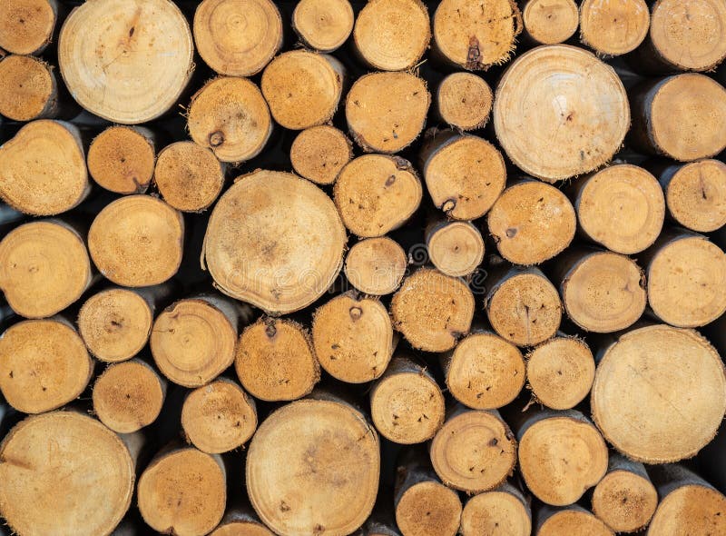 Stack of sawn wood log stock photo. Image of wall, timber - 130507782
