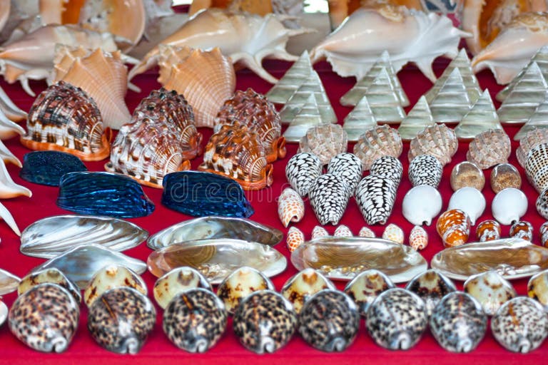Stack of Shells for Sale on a Market Stall Stock Image - Image of ...