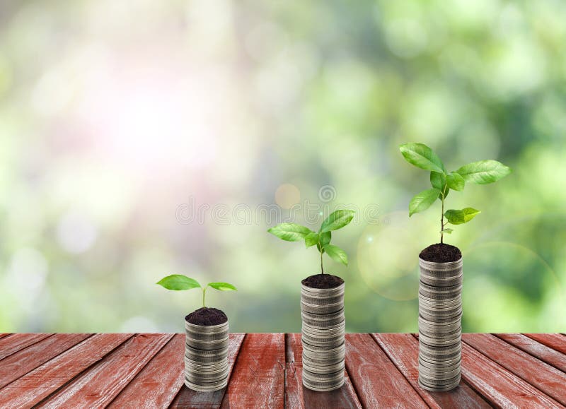 Stack of Silver Coin and Small Plant Concept Stock Image - Image of ...