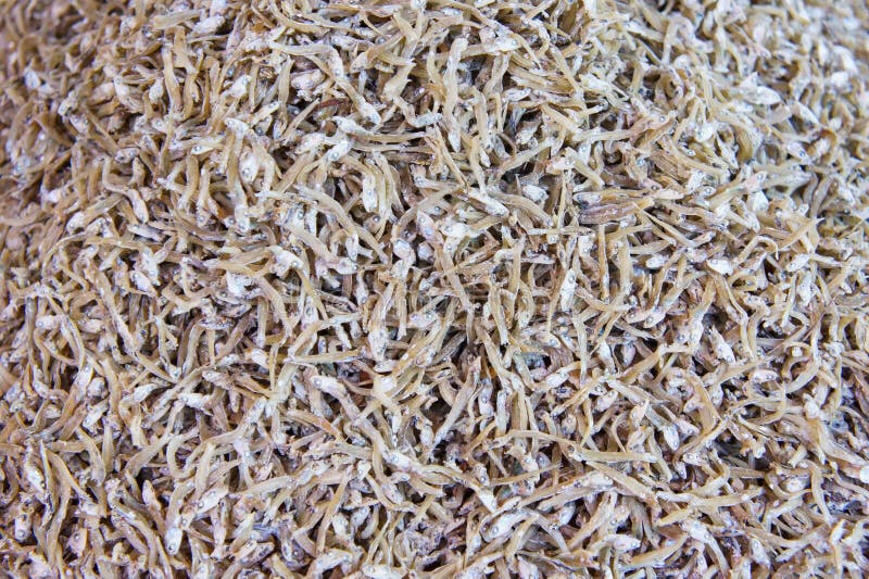 Stack of raw fish stock photo. Image of close, heap, closeup - 79966174