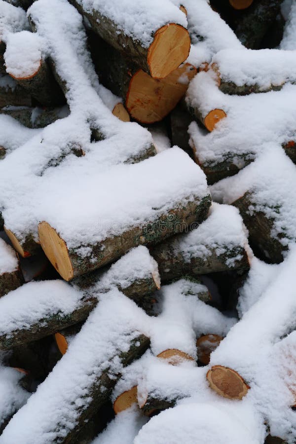 Stack of Snow-covered Firewood in Winter Vertical Photo Stock Image ...