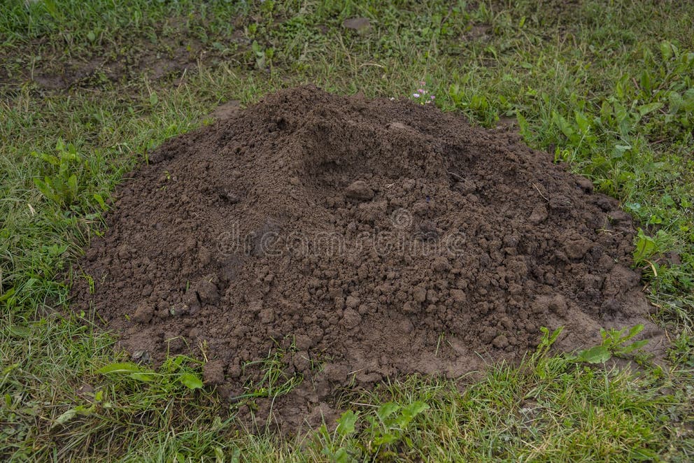 Stack of Soil on the Grass in the Garden Stock Photo - Image of pile ...