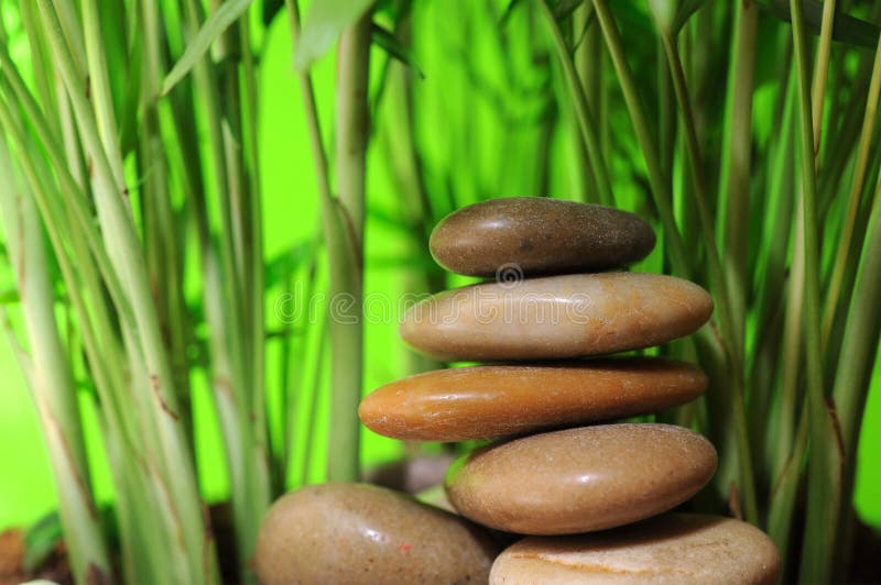 Stack of Stone and Young Bamboo Tree Stock Photo - Image of pile ...