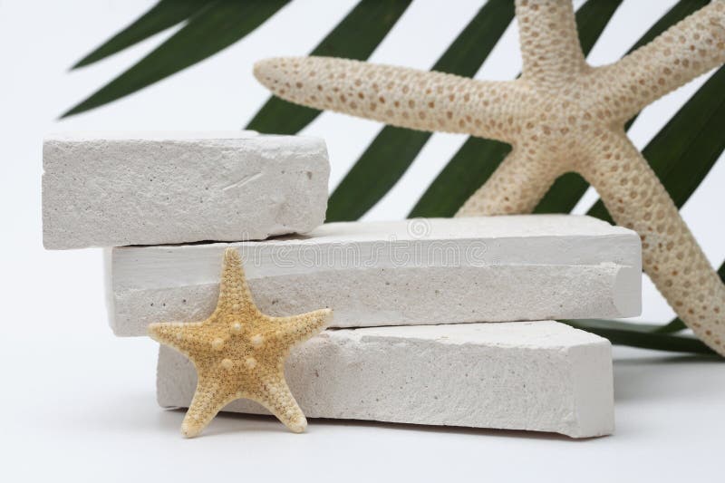 Stack Stones Platform Podium, Starfish, Palm Leaf on Gray Light Copy ...