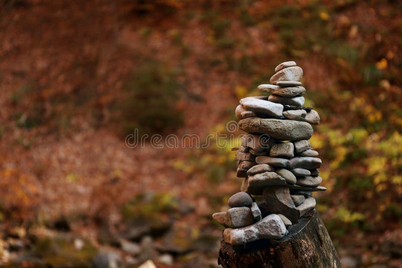 Stack of Stones on Tree Stump in Forest. Stock Photo - Image of perfect ...