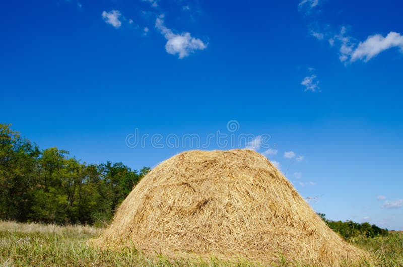 Stack of straw stock photo. Image of bale, outdoors, cutting - 21320078