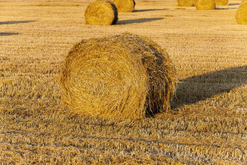 Stack of straw stock image. Image of heap, landscape - 61163511