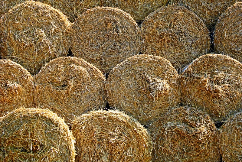 Stack of straw bales stock image. Image of brown, land - 34274379