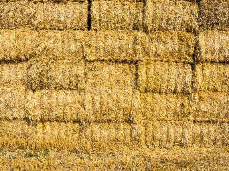 Stack of straw bales stock image. Image of bales, stack - 44955261