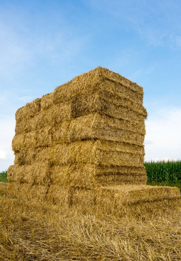 Stack of straw bales stock image. Image of stack, straw - 44955531