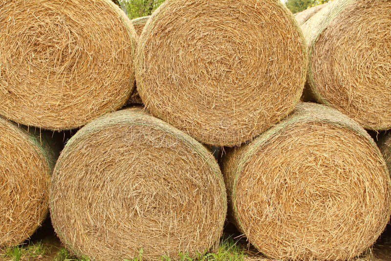 A stack of straw stock photo. Image of grass, cirlcle - 92904632